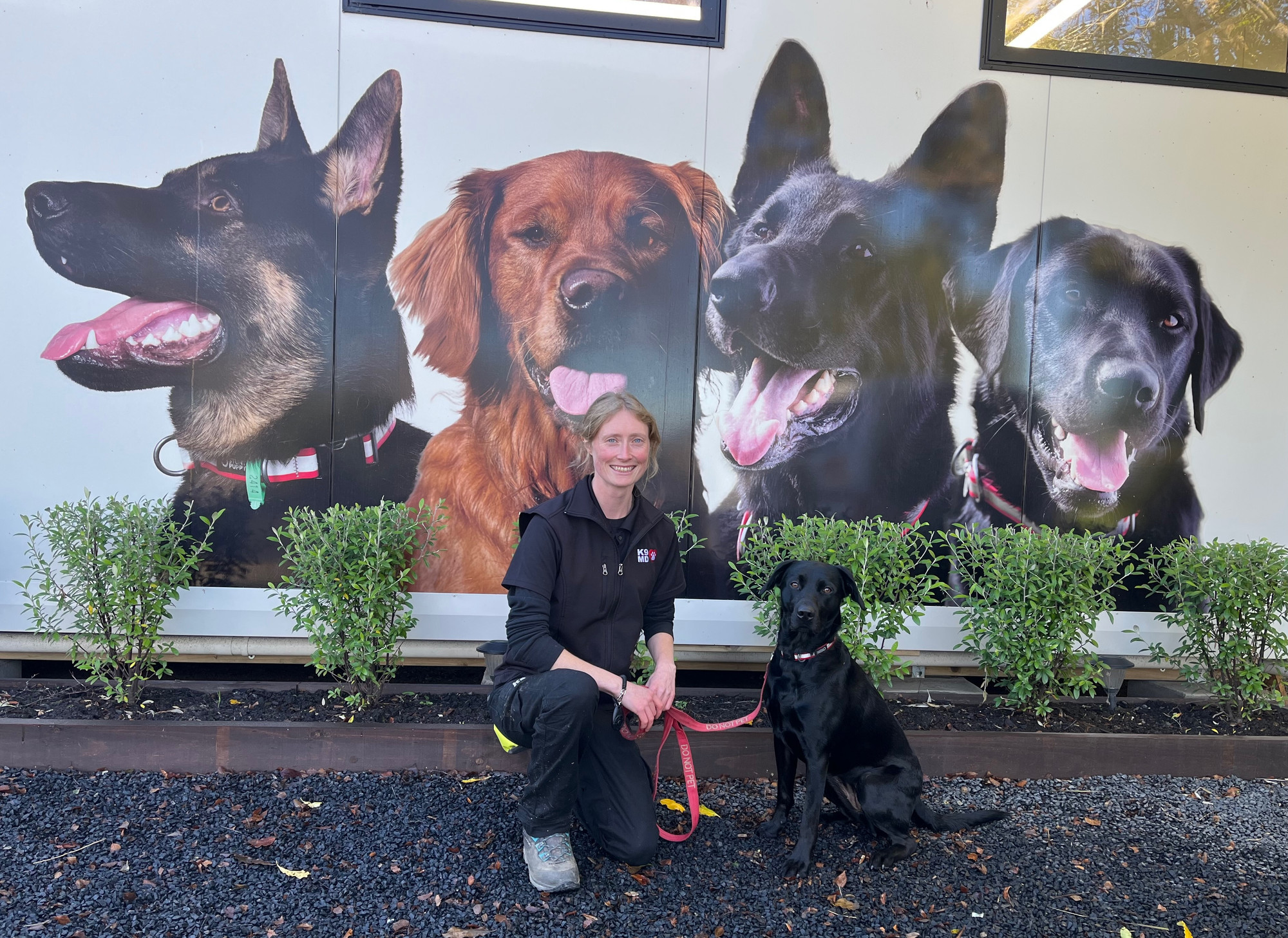 New Trainer thanks to AGT